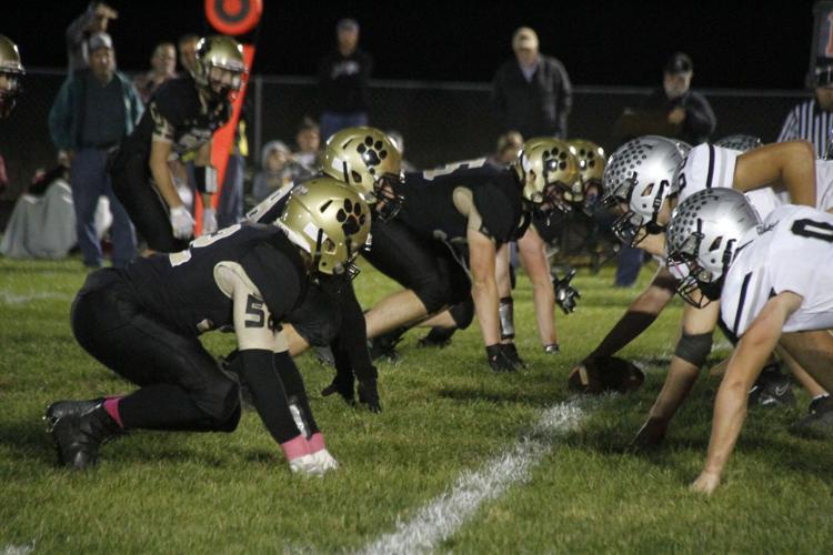 Panthers close out second straight perfect regular season with win over ...