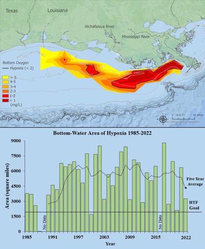 Below-average hypoxia zone measured in Gulf of Mexico | Agriculture ...