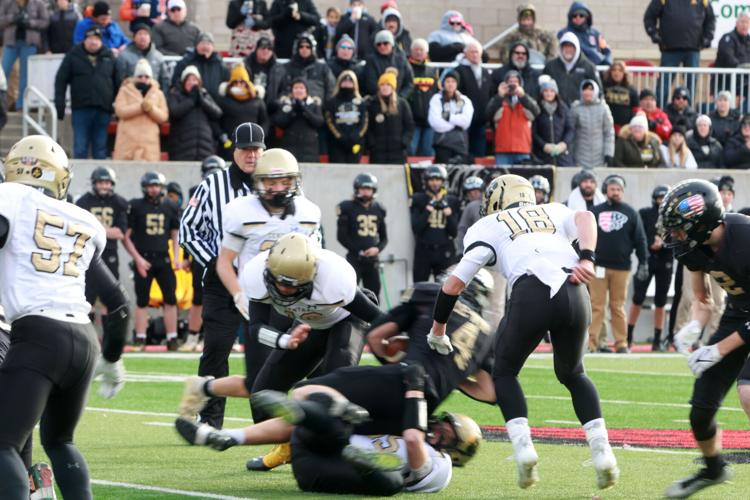 Photo Gallery: Camp Point Central Panthers win state championship ...