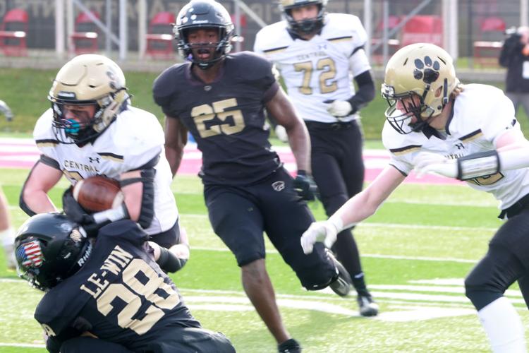 Photo Gallery: Camp Point Central Panthers win state championship ...