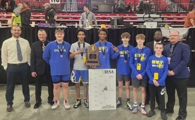 Quincy junior high wrestling takes third place at state | Sports | whig.com