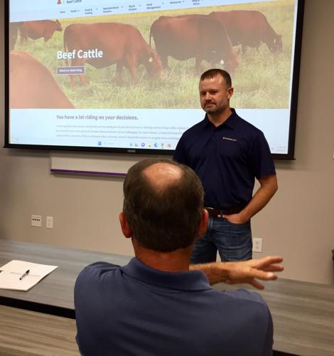 Beef field day focuses on 'thinking outside the box' | Livestock ...