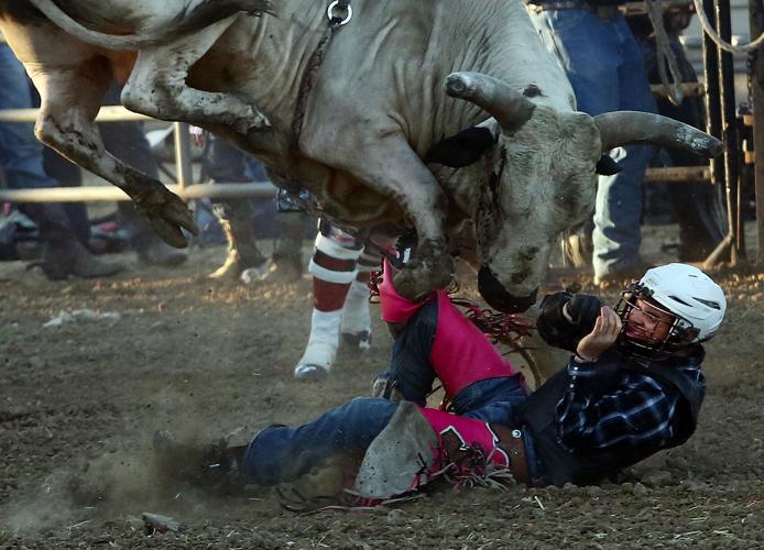 Adams County Fair. | Photo Galleries | whig.com