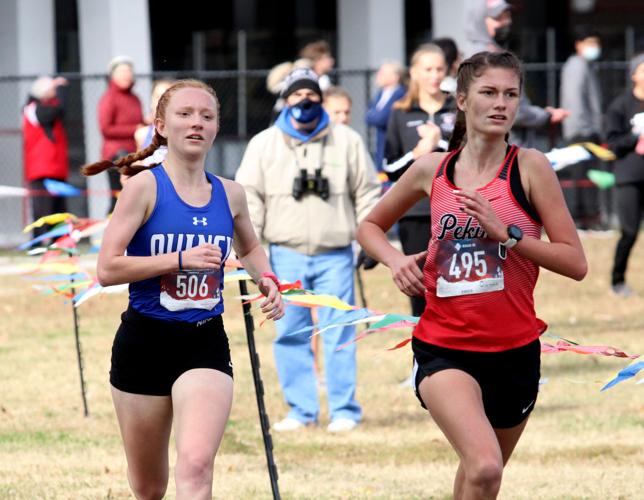Blue Devils girls make sectional meet, Rosen qualifies individually ...