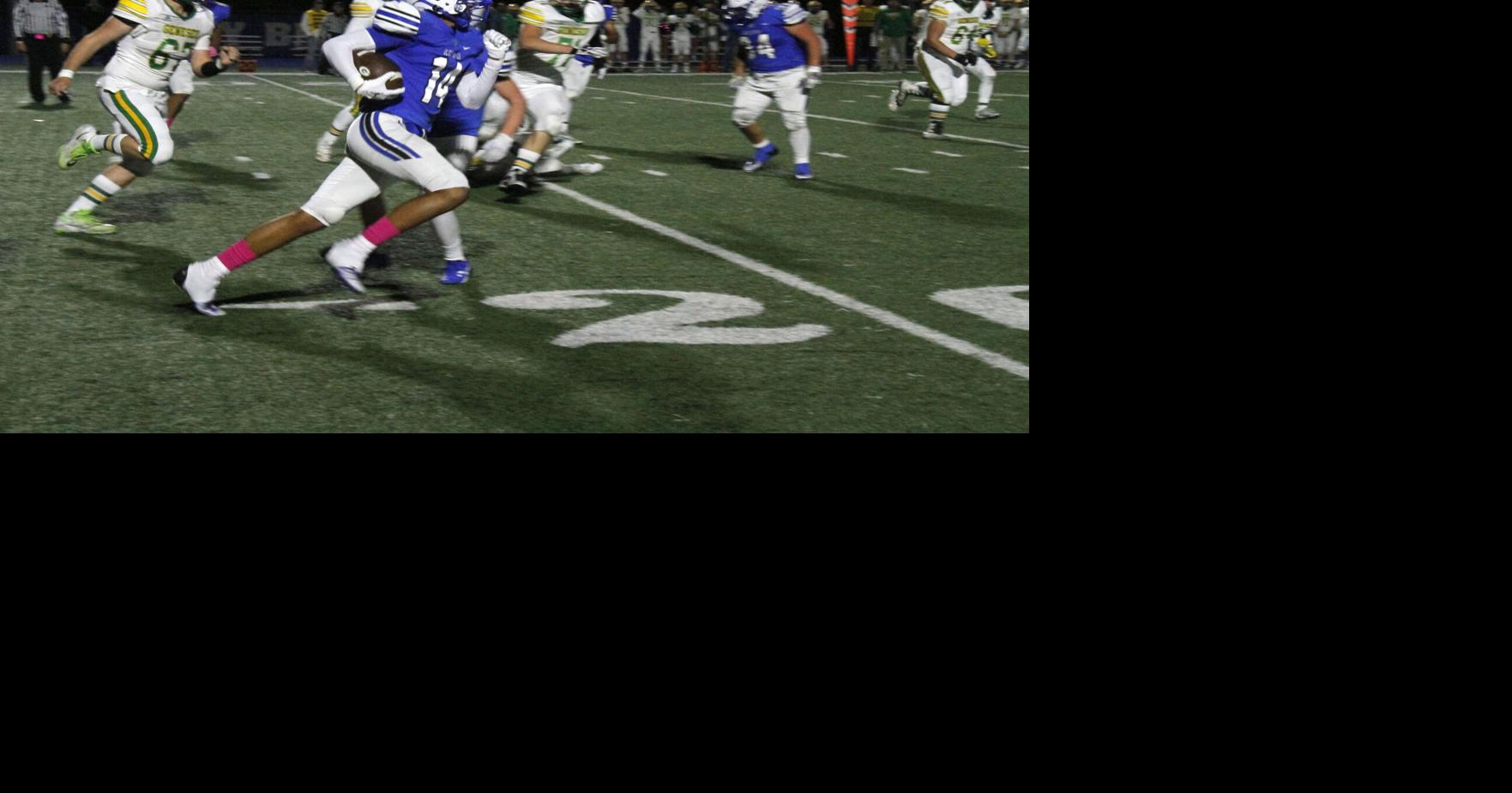 Blue Devils reach new heights with second round win over Wheaton North ...