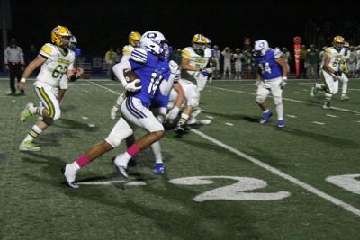 Blue Devils reach new heights with second round win over Wheaton North ...