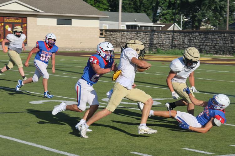 Exciting young players ready to step up for Cougars on the gridiron ...