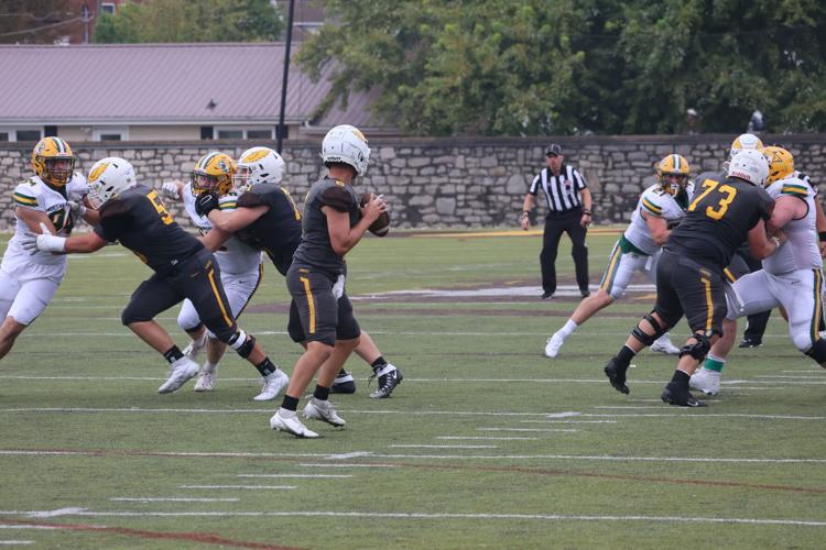 Hawks offense wakes up late, QU defeats Northern Michigan wins third ...