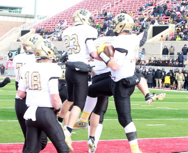 Photo Gallery: Camp Point Central Panthers win state championship ...