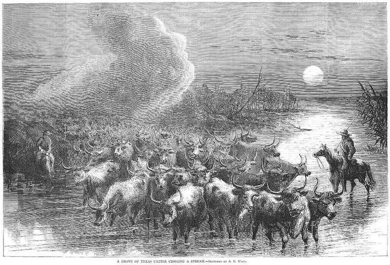 City played a role in Old West cattle drives | Article | whig.com