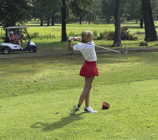 Killough, Gosdin shine for Lions | Sports | whitecountycitizen.com