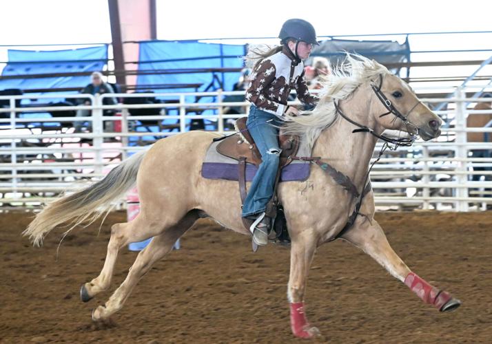 Rodeo day in Searcy | Sports | whitecountycitizen.com