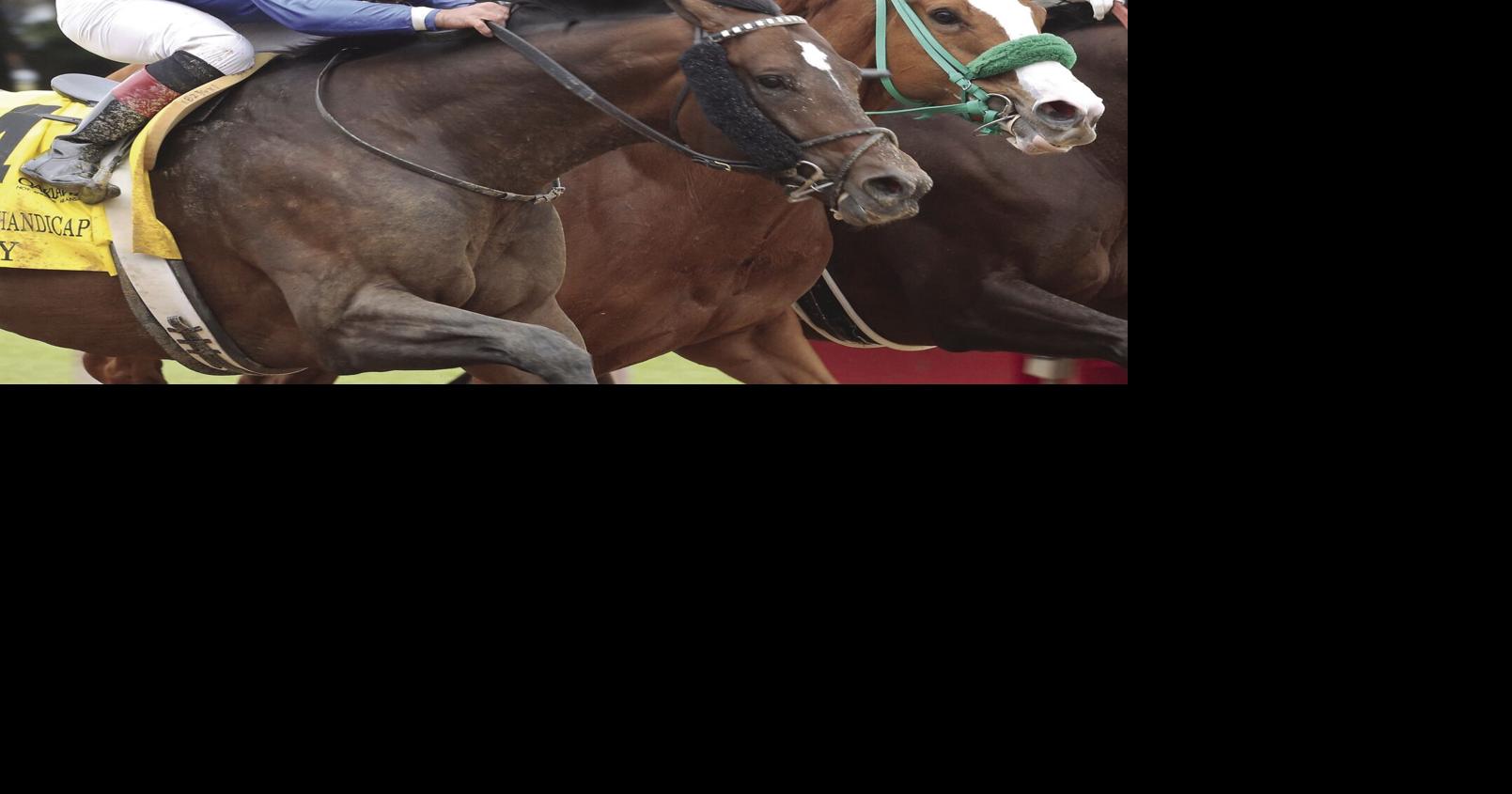 Seven Oaklawn Stakes Winners Entered at Ellis Park | Sports ...