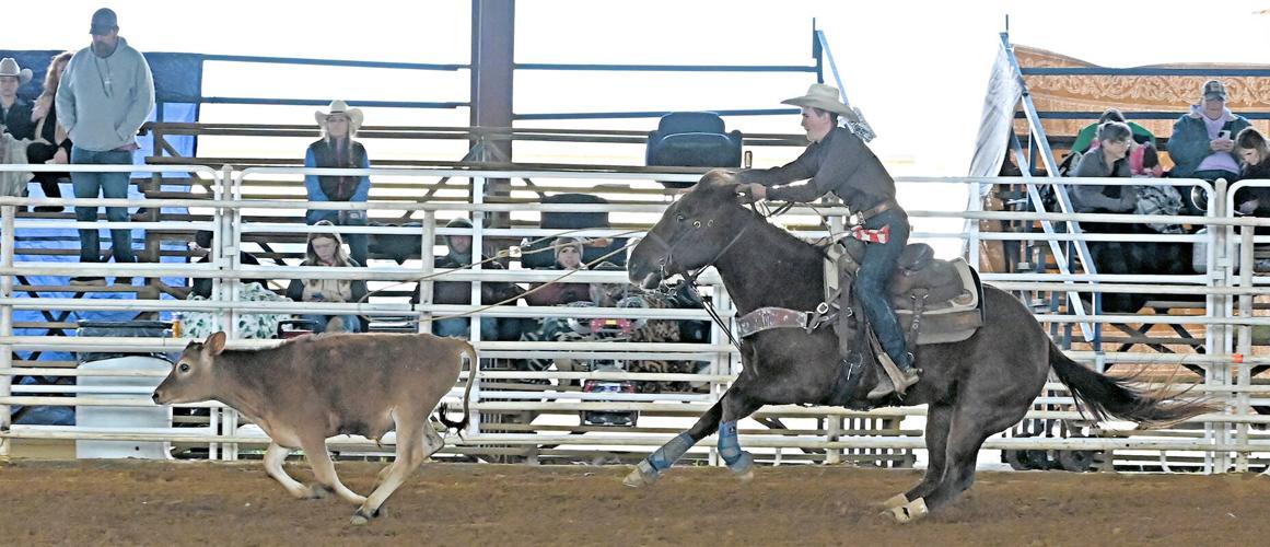 Rodeo day in Searcy | Sports | whitecountycitizen.com