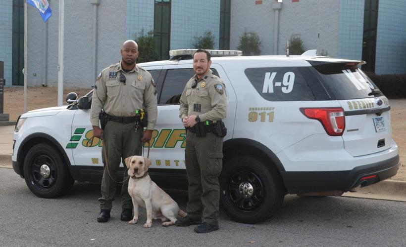 Sheriff forms Street Crime Unit | News | whitecountycitizen.com