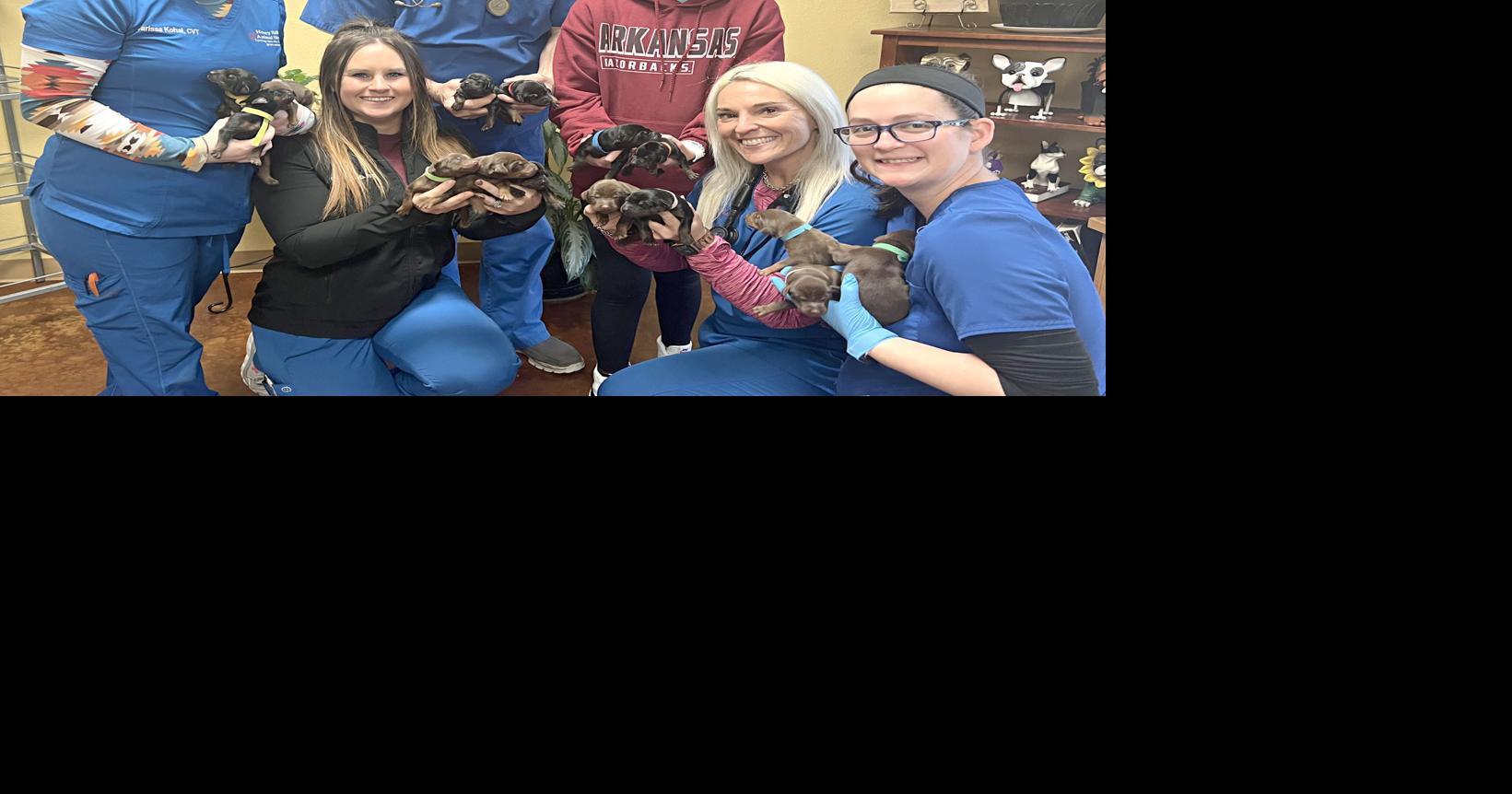 Searcy family celebrates 15 puppies | Community | whitecountycitizen.com