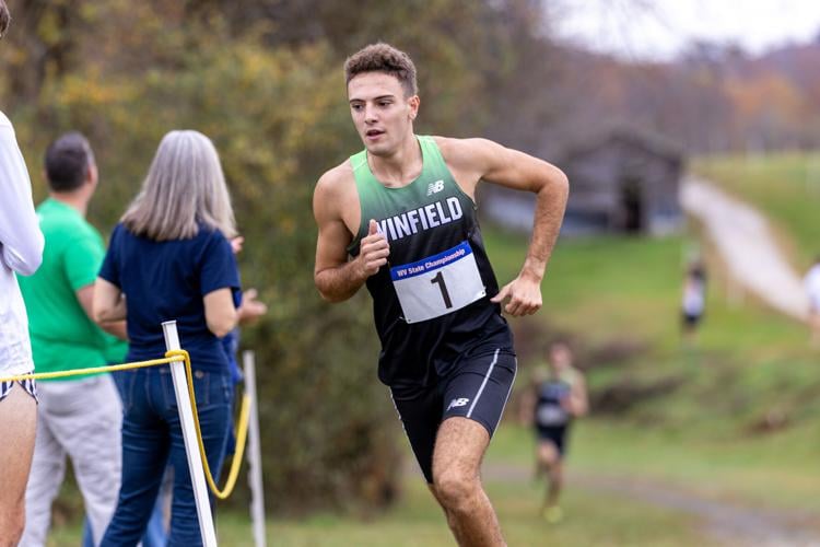 Overcomer runner Reilly leads Buffalo to state XC title | Sports ...