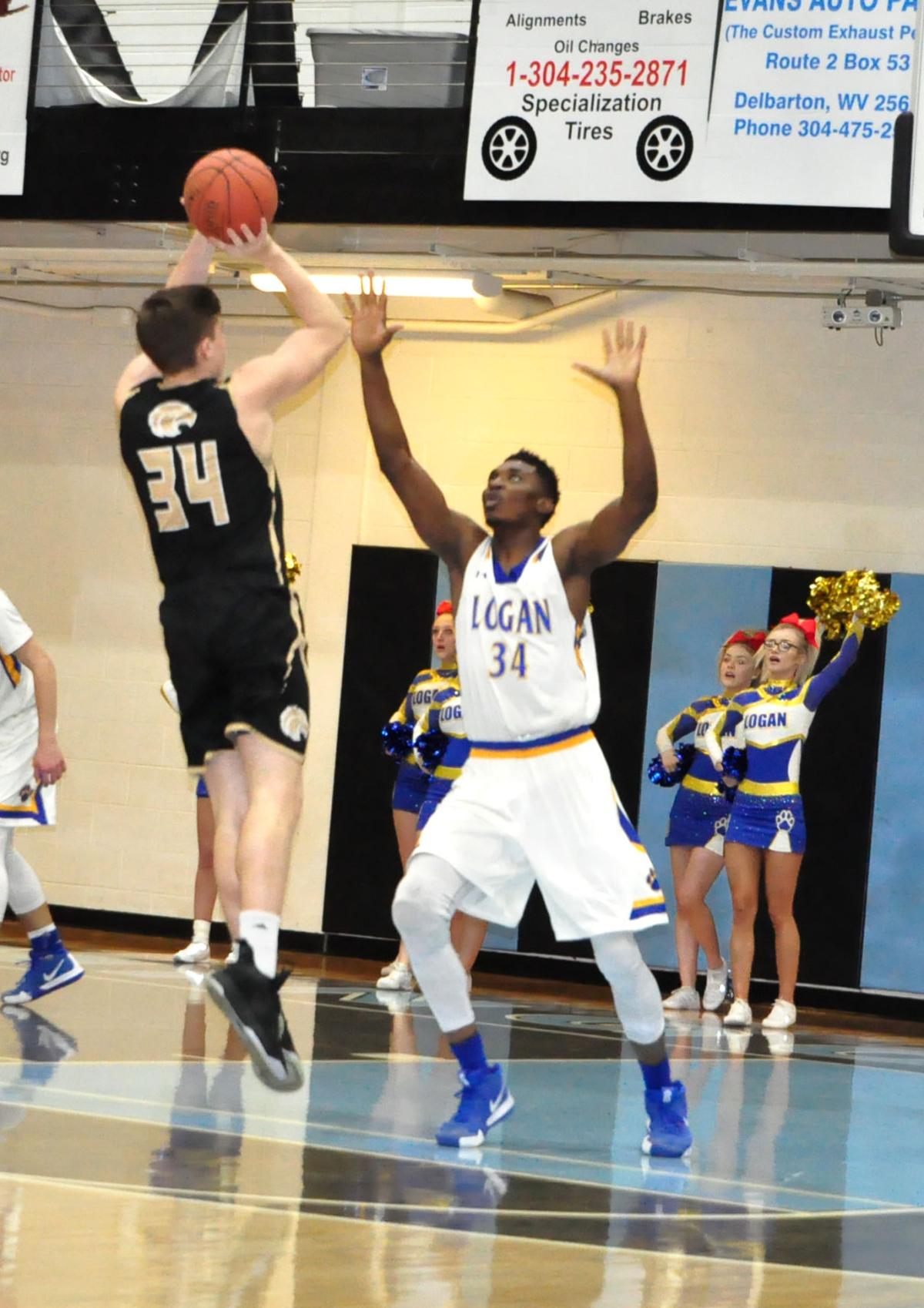 Logan holds off Scott for sectional tourney win | Sports ...