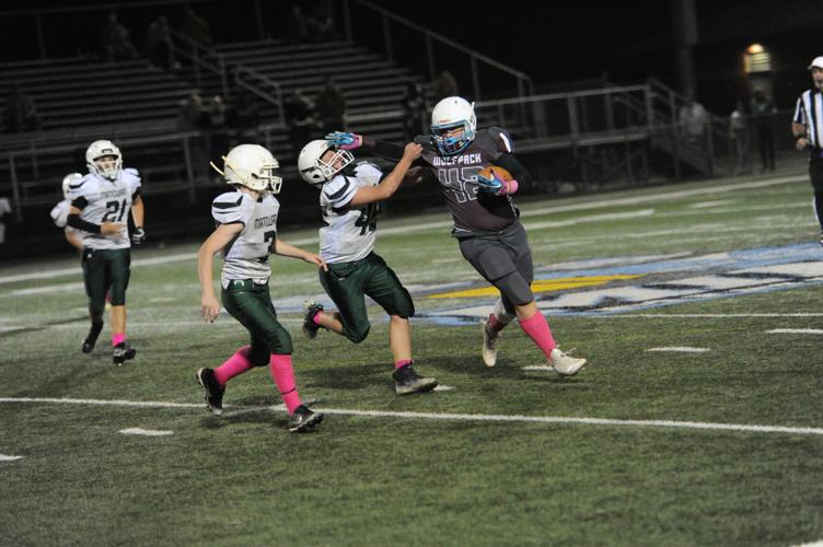 Wolfpack claws Tigers to win Mingo County title | Sports ...