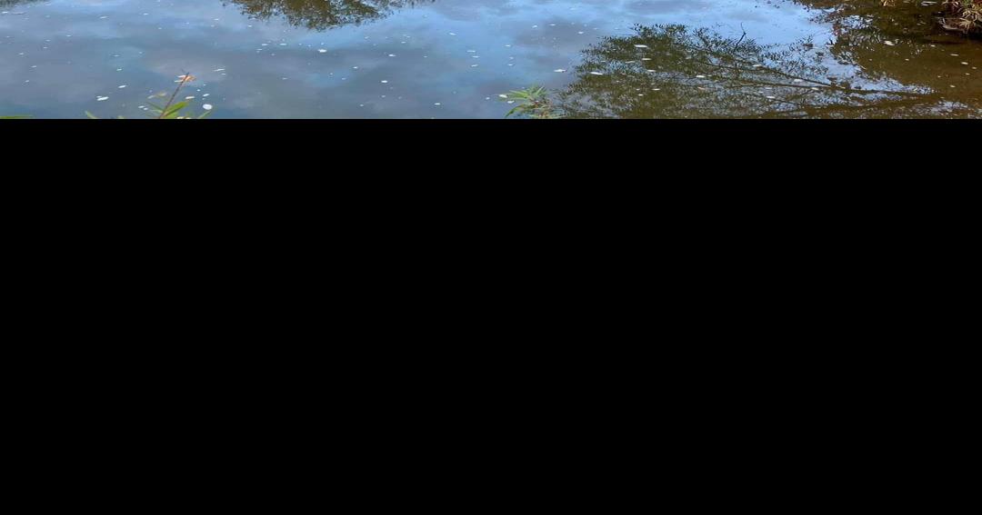 Bloody Mingo Tug Fork Water Trail officially designated | News ...