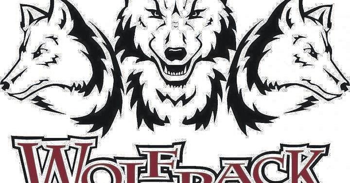 Lady Wolfpack softball opens season with 9-4 win over Matewan | Sports ...