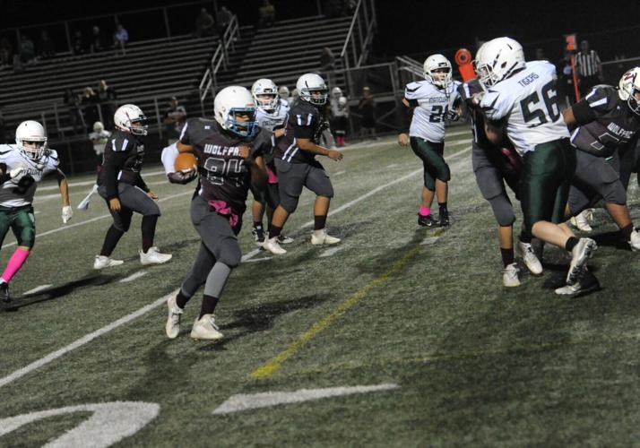 Wolfpack claws Tigers to win Mingo County title | Sports ...