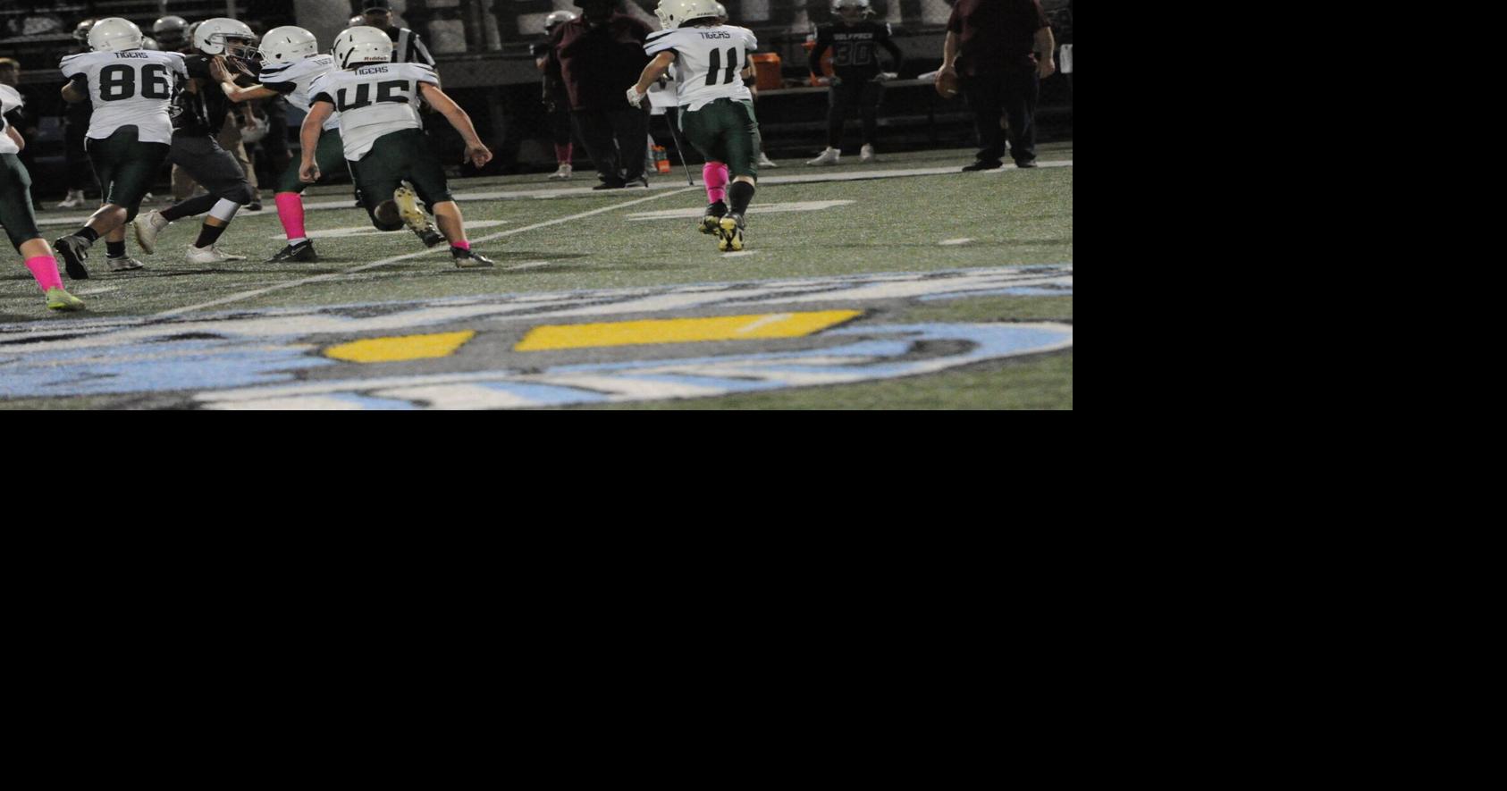 williamson matewan 7.JPG | | williamsondailynews.com