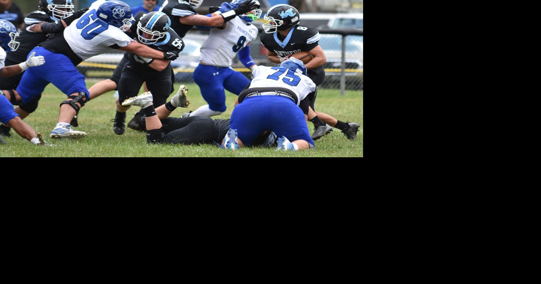 Panthers shut out by Princeton in season opener | | williamsondailynews.com