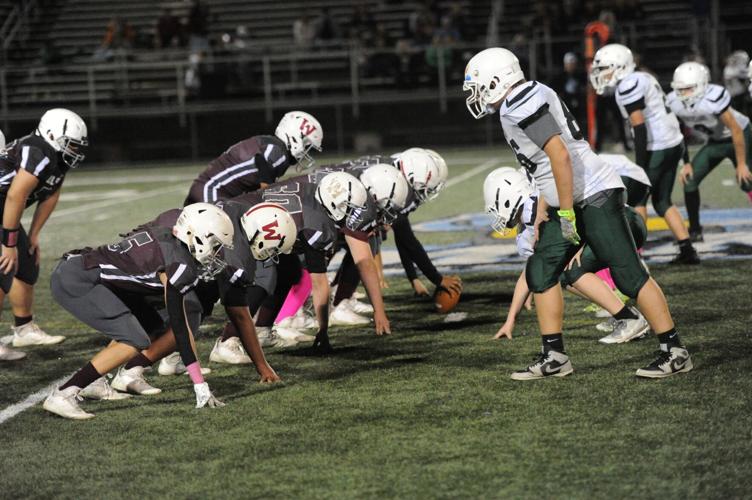 Wolfpack claws Tigers to win Mingo County title | Sports ...