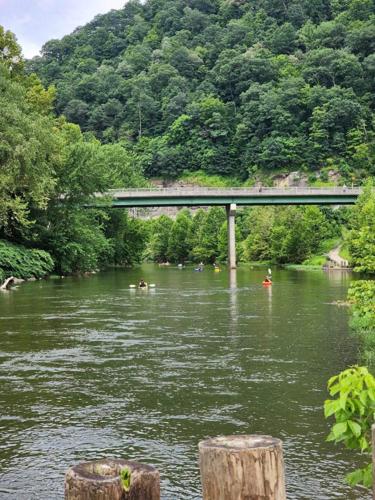 Community Gathers for Tug River Flotilla | News | williamsondailynews.com