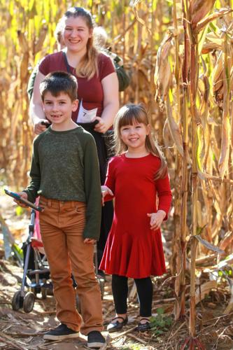 Cooper Family Farm’s Corn Maze in Milton attracts thousands each season ...