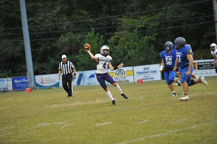 Phelps Hornets use return game to beat Twin Valley Panthers | Sports ...