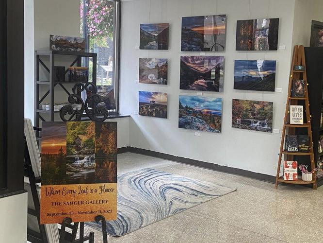 Sanger Gallery Fall exhibit Opens | News | williamsondailynews.com