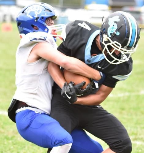 Panthers shut out by Princeton in season opener | | williamsondailynews.com