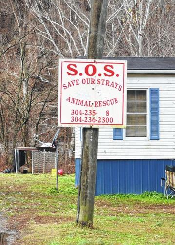 Save Our Strays in need of donations | News | williamsondailynews.com