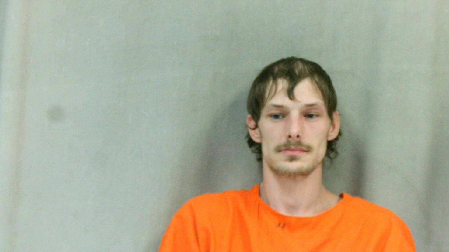 Madison Man Facing Multiple Charges Including Domestic Battery