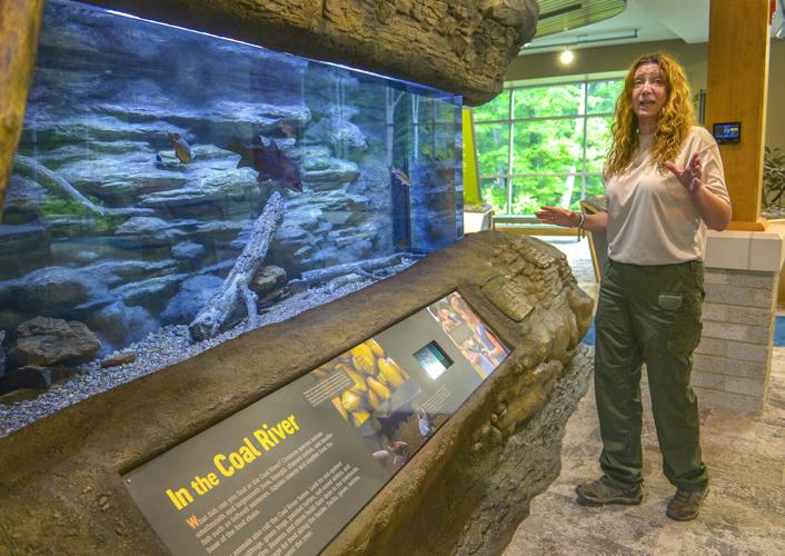 Activities abound at debut of Forks of Coal wildlife education center ...