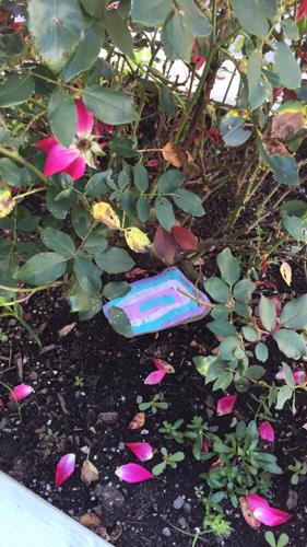 Painted rocks movement aims to spread positivity | News ...