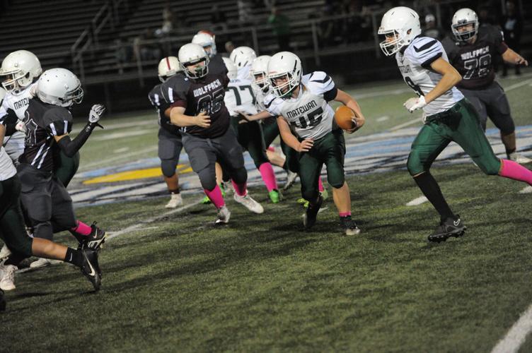 Wolfpack claws Tigers to win Mingo County title | Sports ...