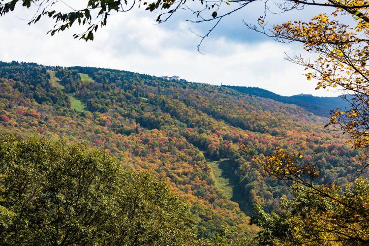 Fall foliage season starts in the mountains | Features ...