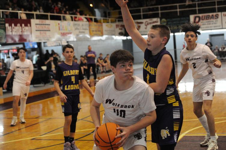 Wolfpack claims first Mingo County basketball title in 24 years ...