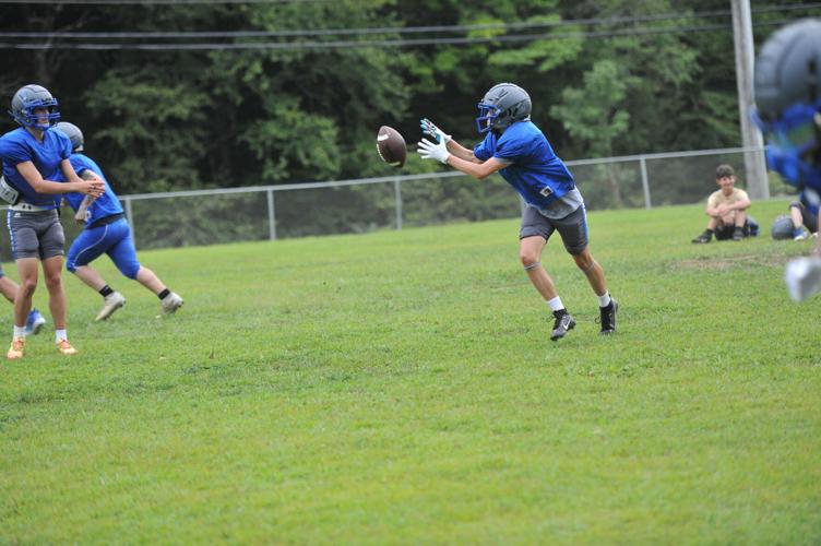 Hornets hoping for a successful season in 2023 | Sports ...