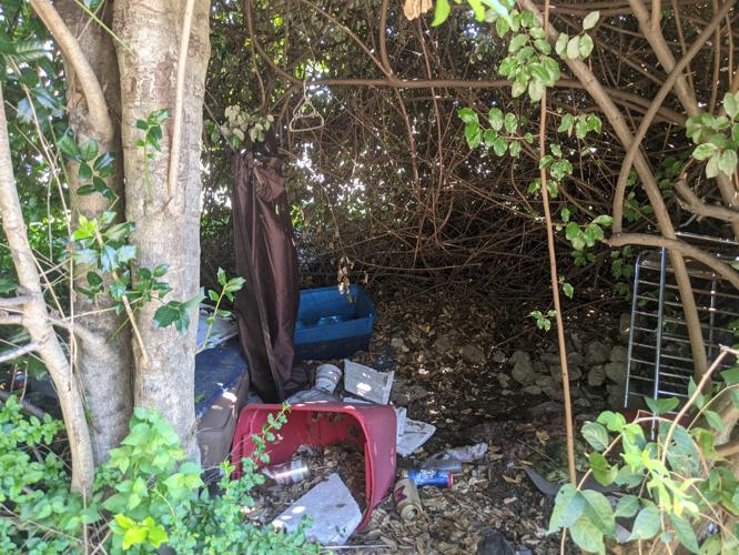 Homeless Alliance to open transitional home this fall | Local News | williamsonherald.com