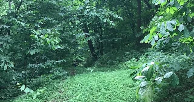 Peacock Hill Nature Park