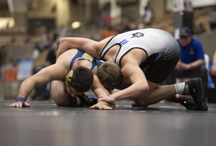 State Wrestling: Meet the record-breaking 11 WillCo Finalists | Sports ...