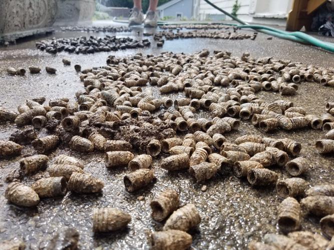 Lotz House announces two-part Civil War symposium | WLife ...