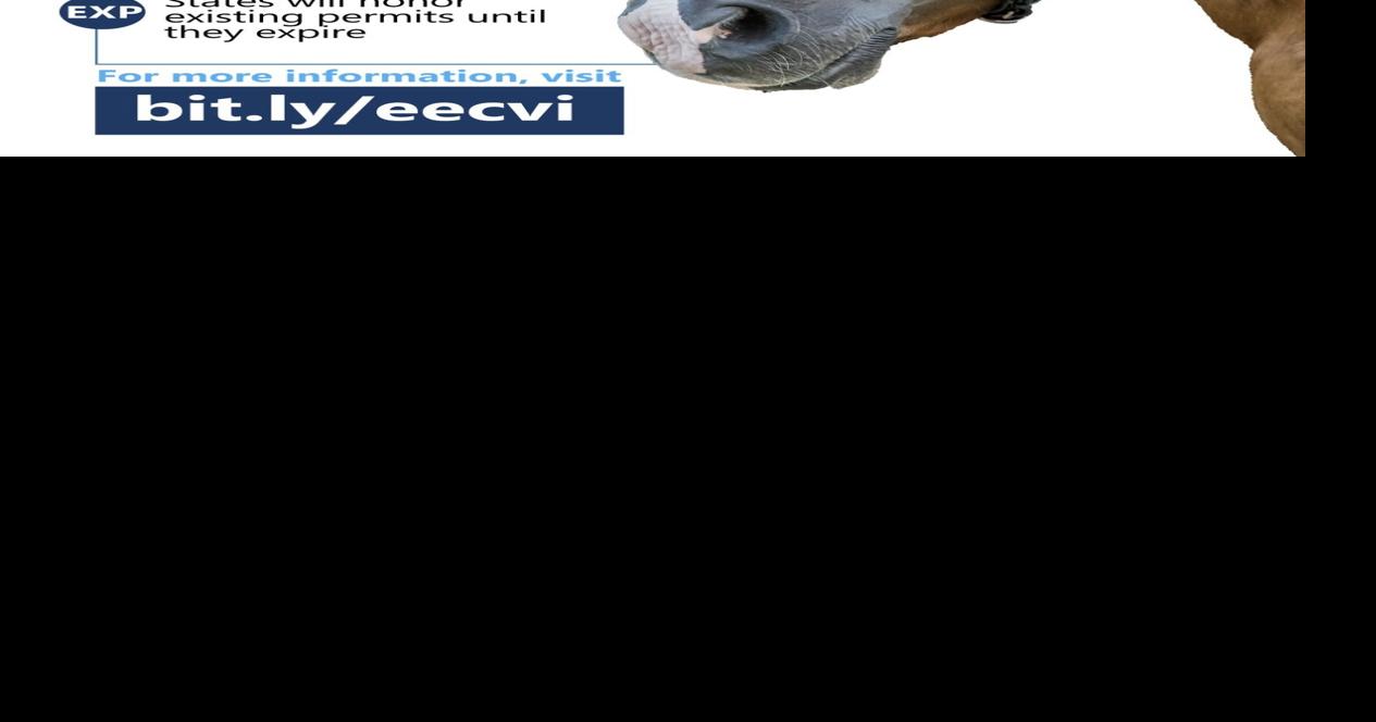 New transportation permit available to Tennessee horse owners ...