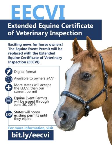 New transportation permit available to Tennessee horse owners ...