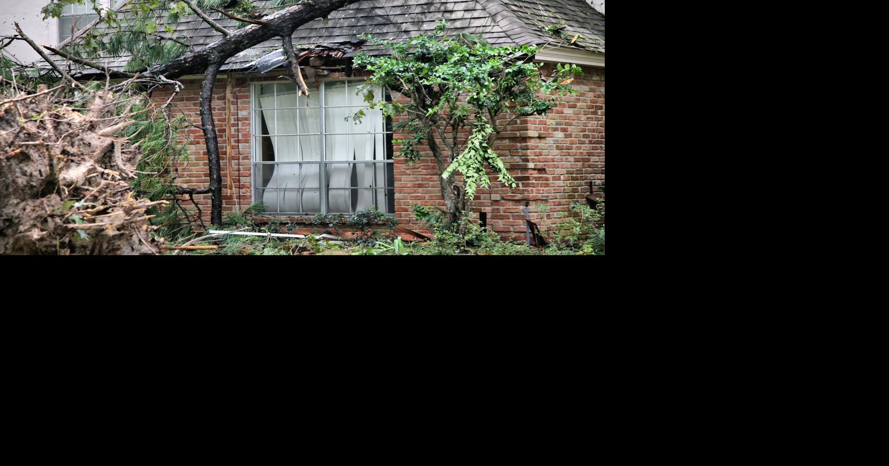 Landscaping: Weathering the storms | Columns | williamsonherald.com