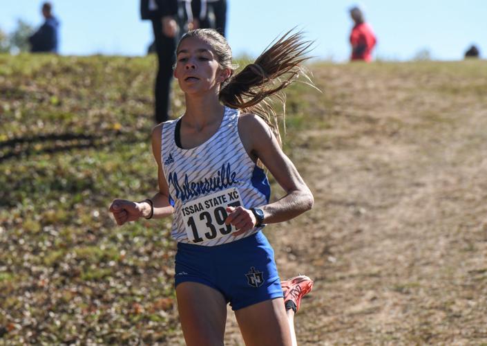 Stegall, Ramer – WillCo cross country champs – named Gateway Tire ...